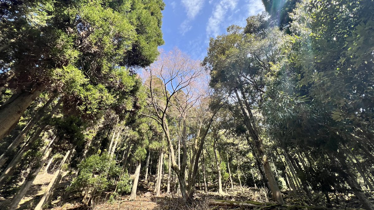 鹿児島県伊佐市【公式】 (@isa_kagoshima) / Posts / X