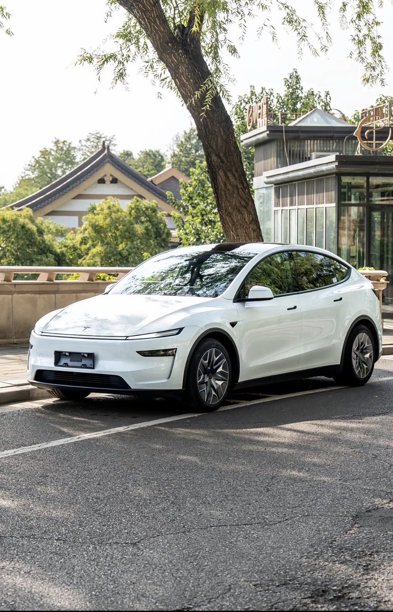 펄 화이트 Tesla Model Y L