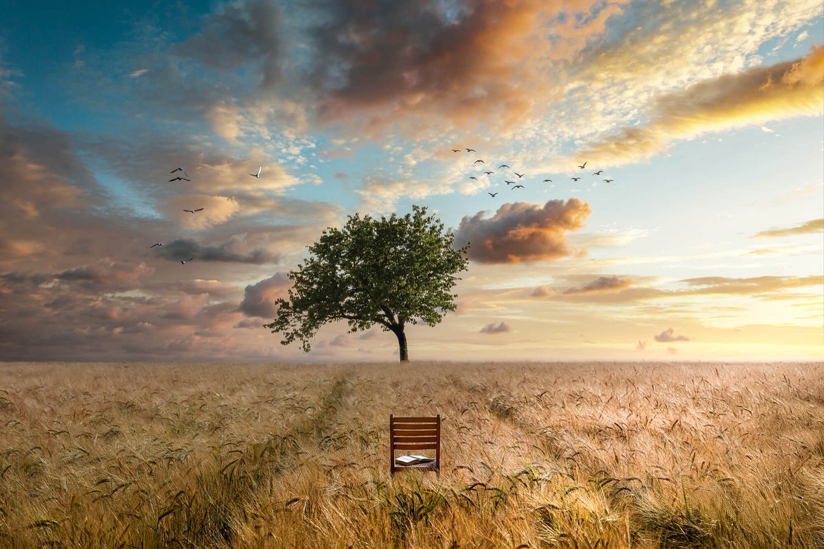 500px (@500px) / Posts / X
