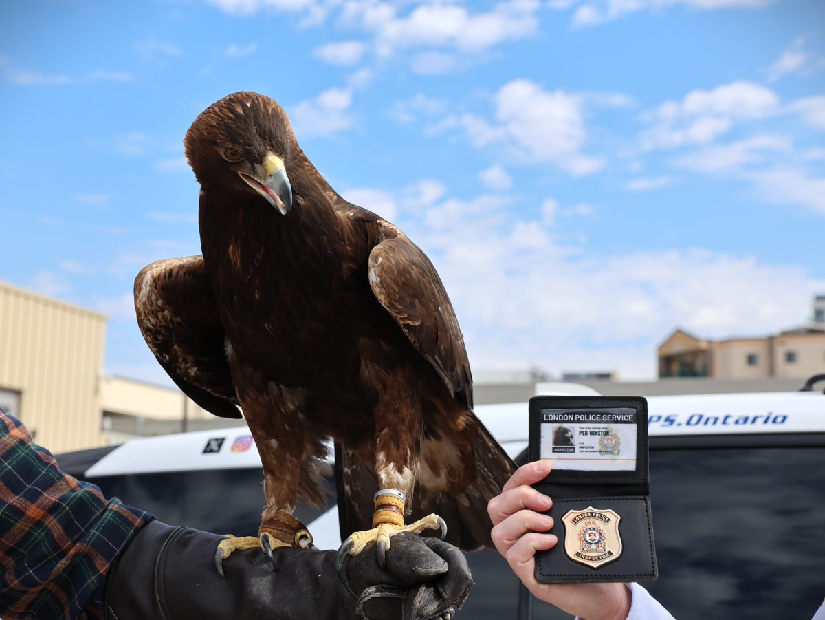 The London Police Service is proud to announce the promotion of a very ...