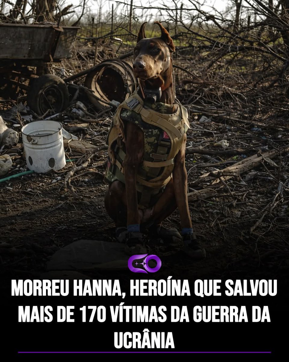 Derson Jacomini (@Dersonjacomini) / Posts / X
