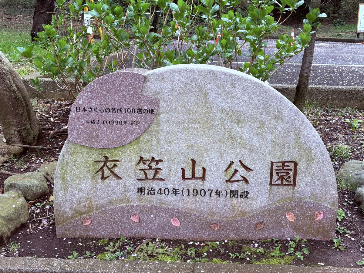 おせち (@sake_oseti) / Posts / X
