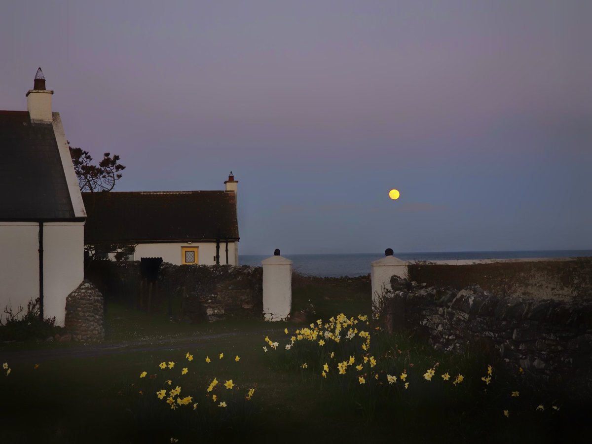 Cara Coll Photography (@photos_by_cara) / Posts / X