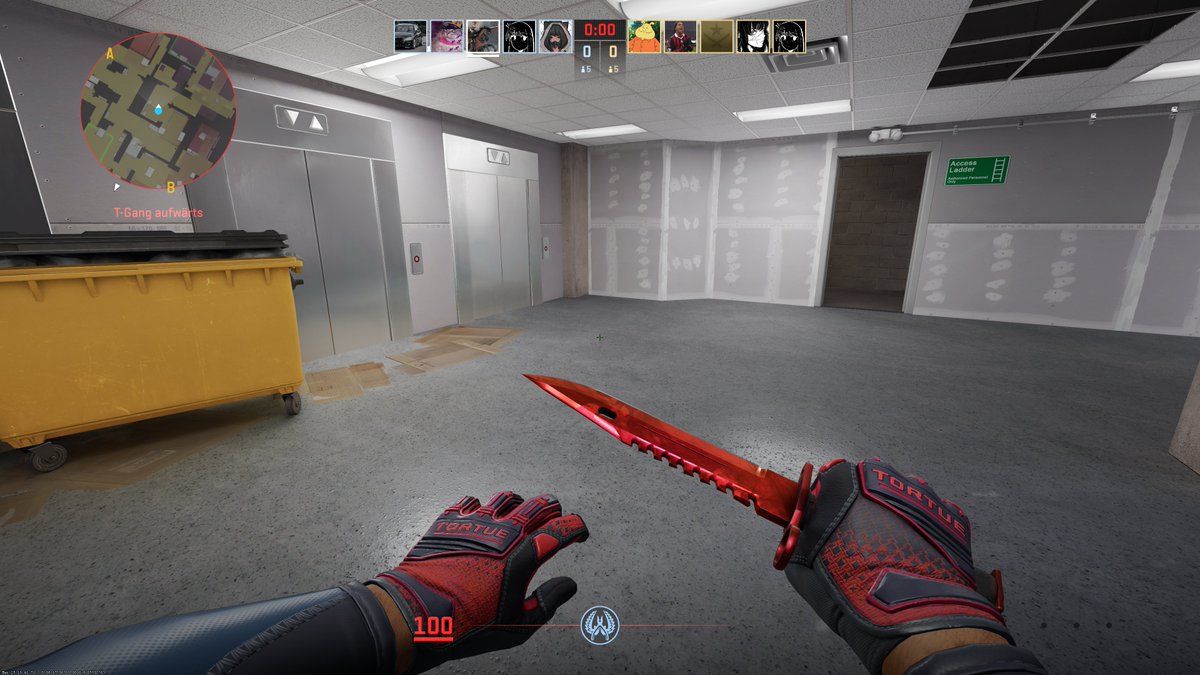 The most iconic sets (nobody together owns) of CS2 NR.2 The Ibuypower ...