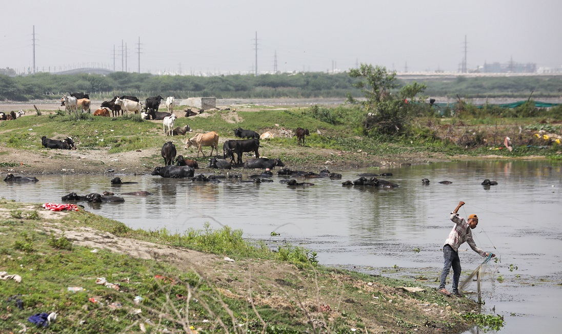 Photo of the Day: Yamuna, the river that became stagnant Encroachment ...