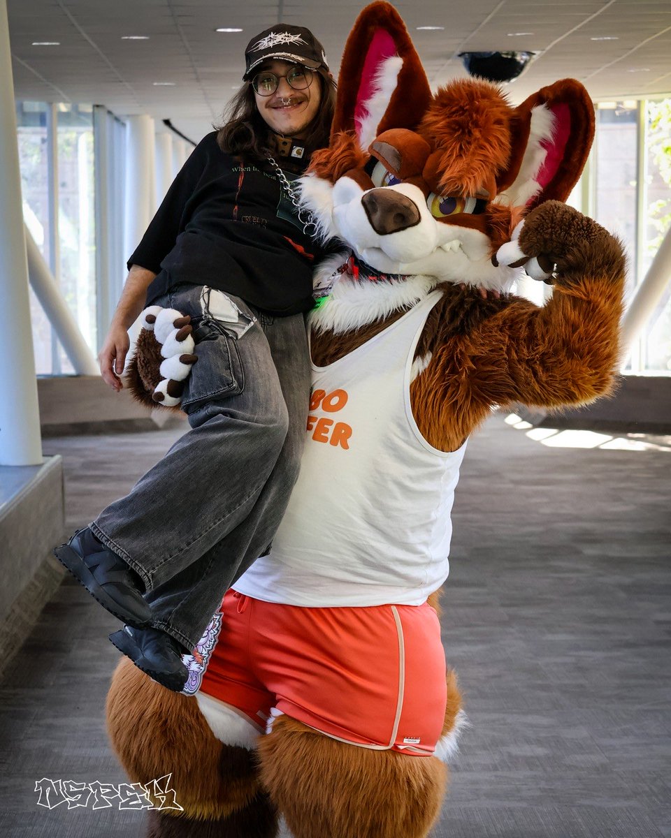 More Fur Less (@MoreFurLess) / Posts / X