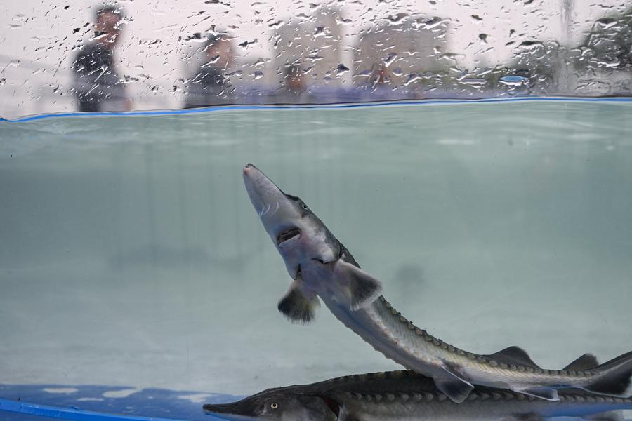 The National Natural Science Foundation of China (NSFC) released ...
