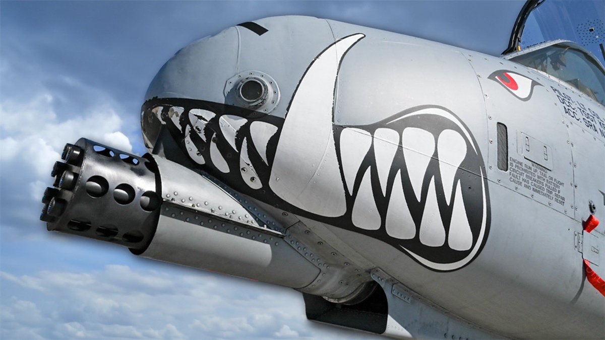 Known as the Warthog, this plane goes BRRRRT like nothing else in the ...