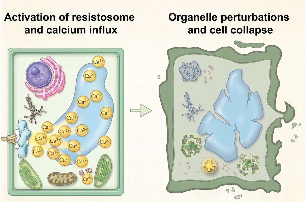 [Dr. Chih-Hang Wu @AdamWu9527] Subcellular calcium dynamics and ...