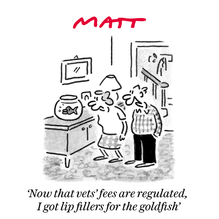 Matt Cartoons (@MattCartoonist) / Posts / X