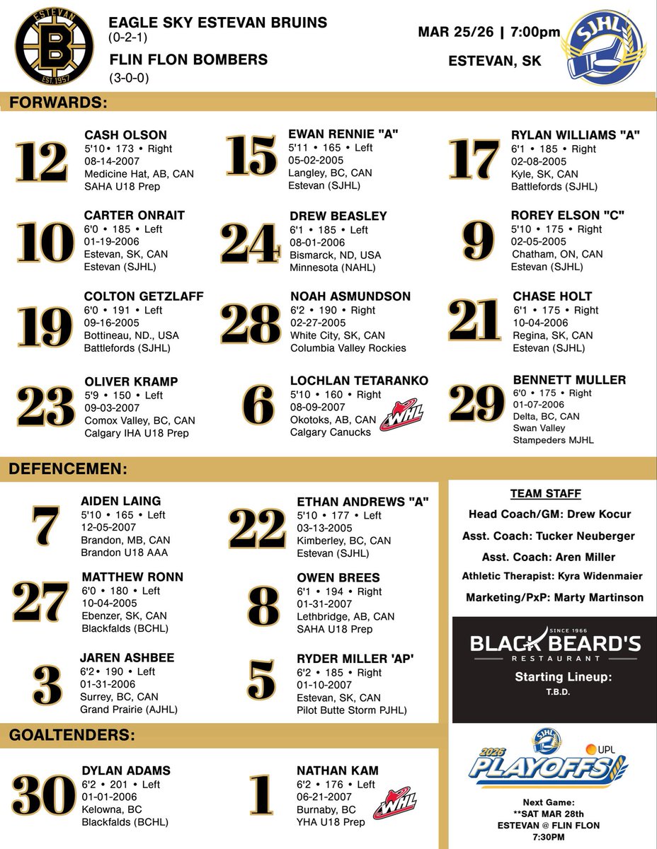 Eagle Sky Estevan Bruins (@estevanbruins) / Posts / X