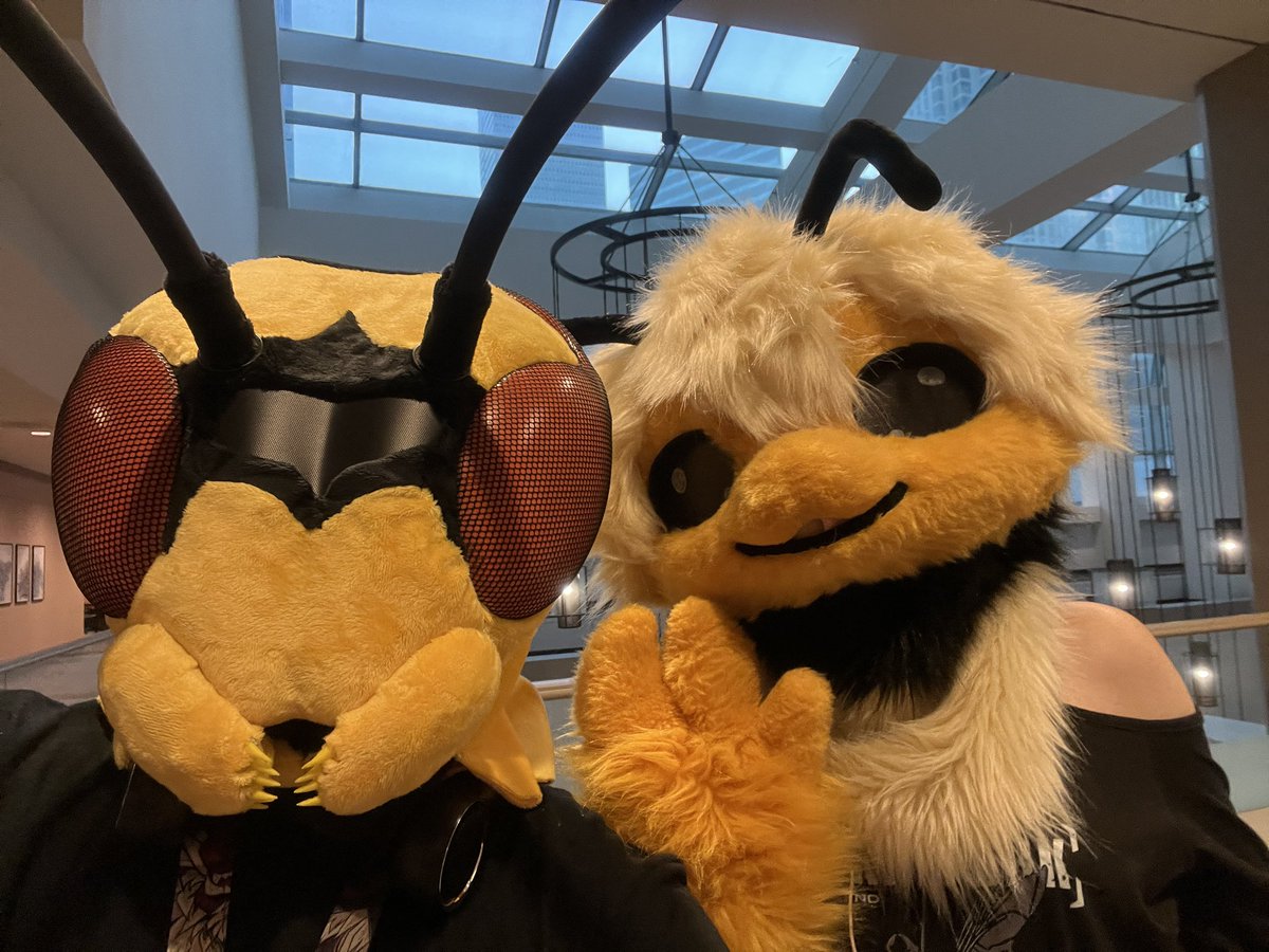 Nothing but love for the bug! Thank yall so much for the great support ...