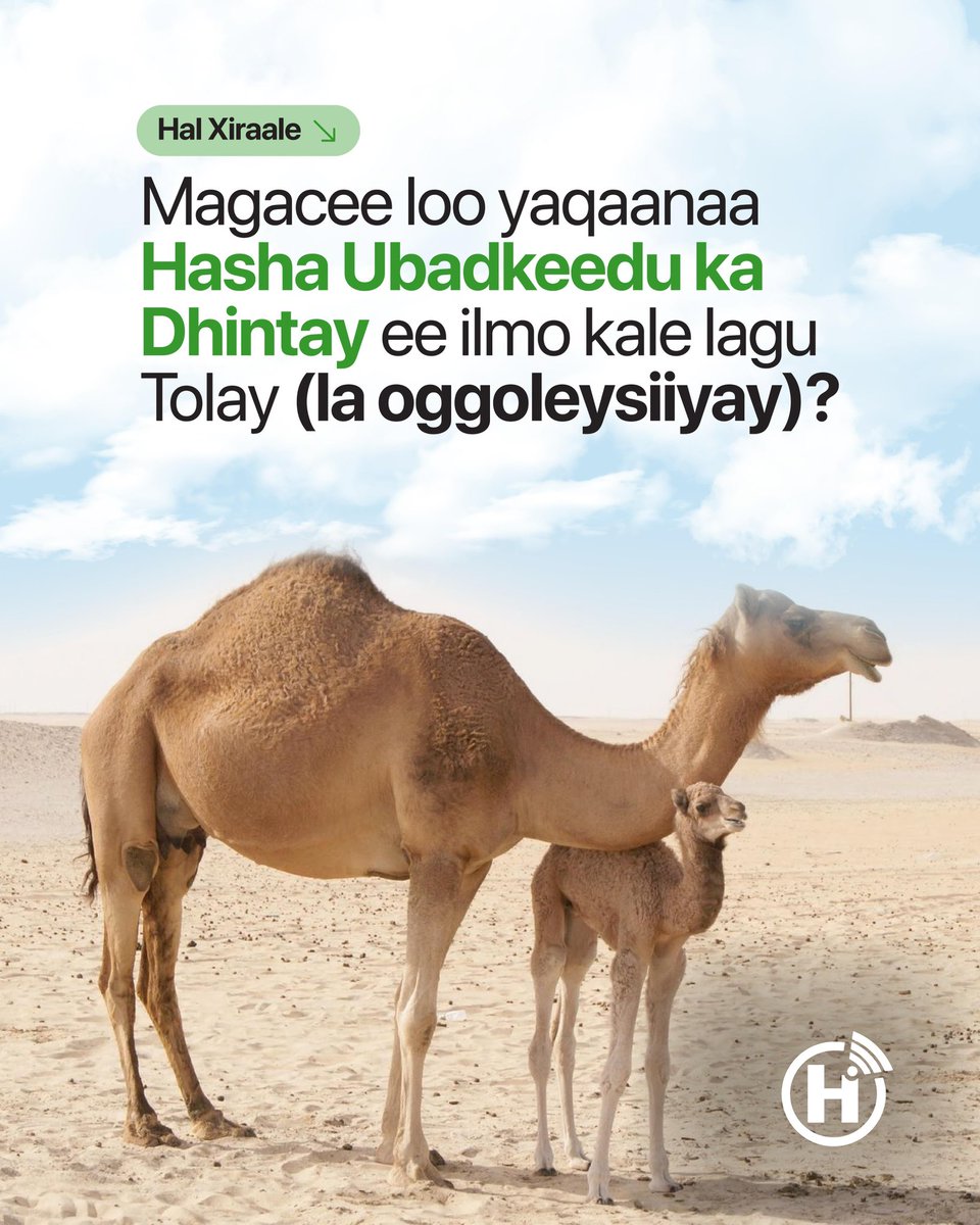 Hormuud Telecom (@Hormuud) / Posts / X