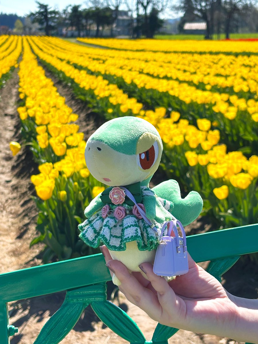 My perfect little lady Snivy at the tulip garden Spring is in full ...