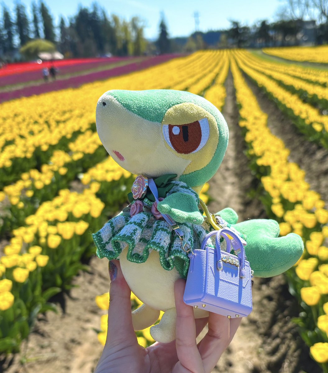 My perfect little lady Snivy at the tulip garden Spring is in full ...