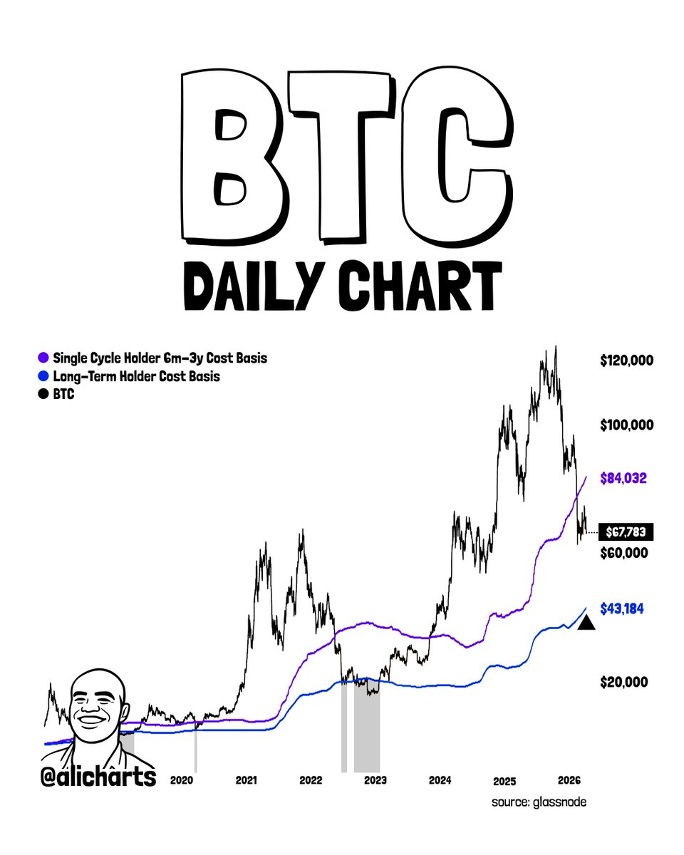 The long-term holder cost basis is a magnet for Bitcoin $BTC.