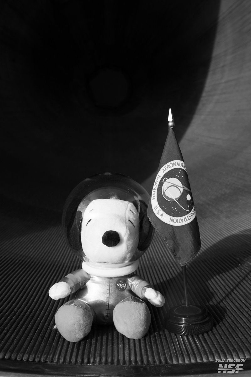 Snoopy joined the NASA ranks in 1968 as a mascot for the Manned Flight ...