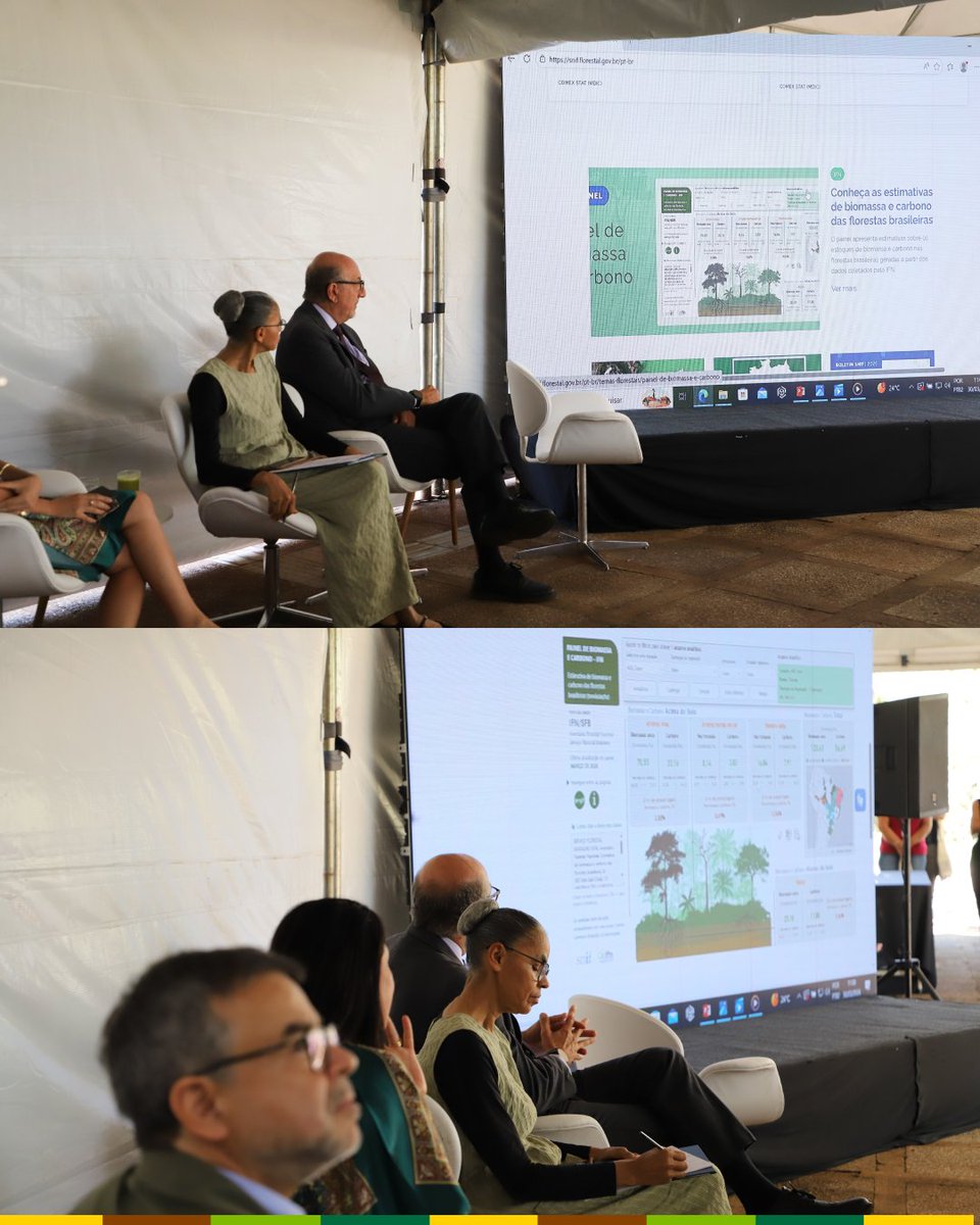 Serviço Florestal Brasileiro (@florestalgov) / Posts / X