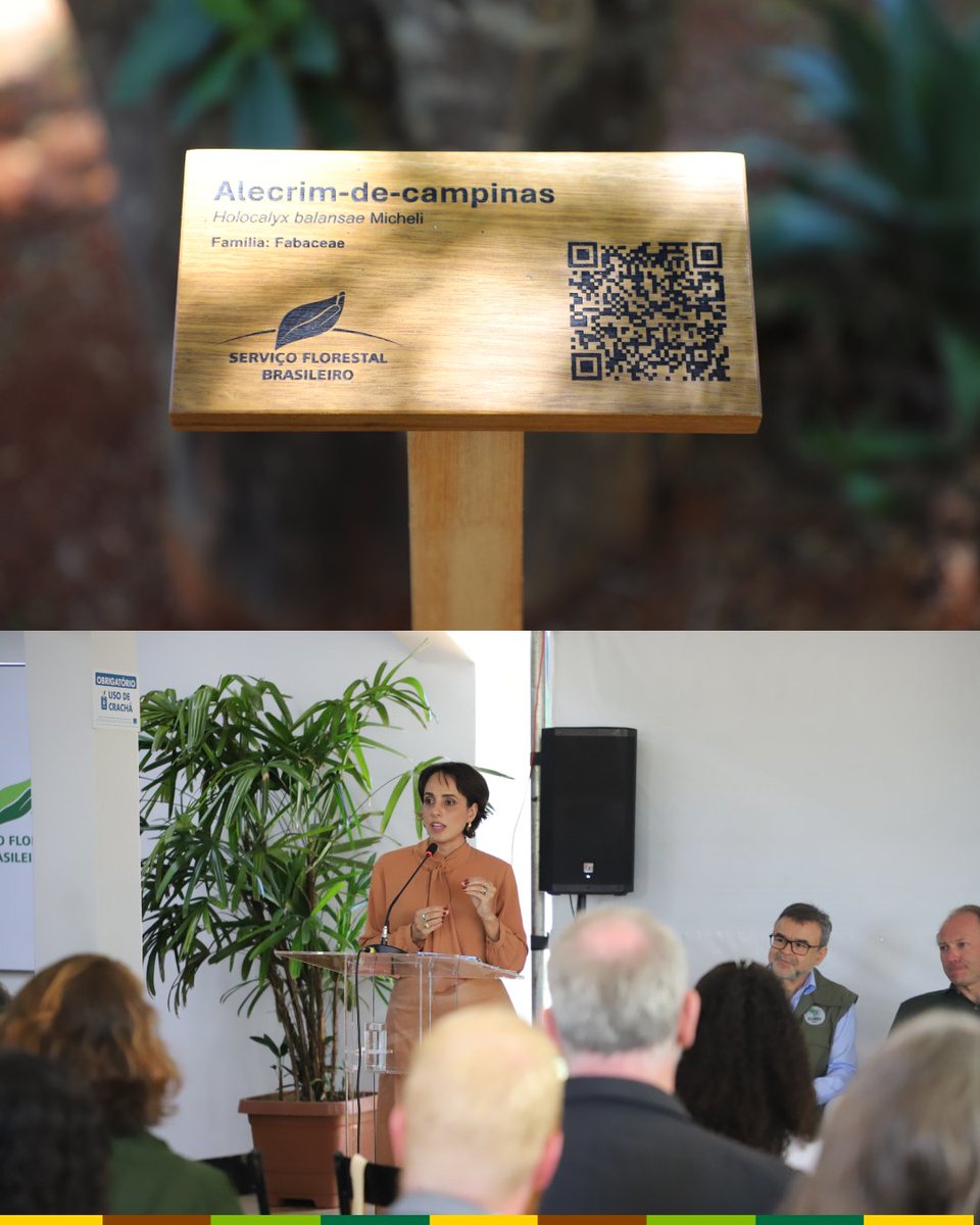 Serviço Florestal Brasileiro (@florestalgov) / Posts / X