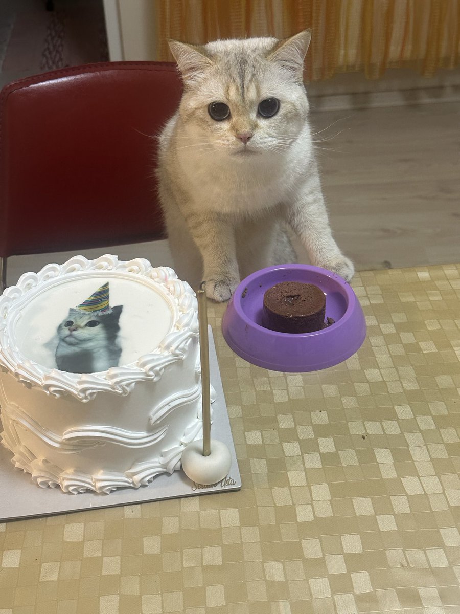 bayram bozkurt (@BayramB46275350) / Posts / X