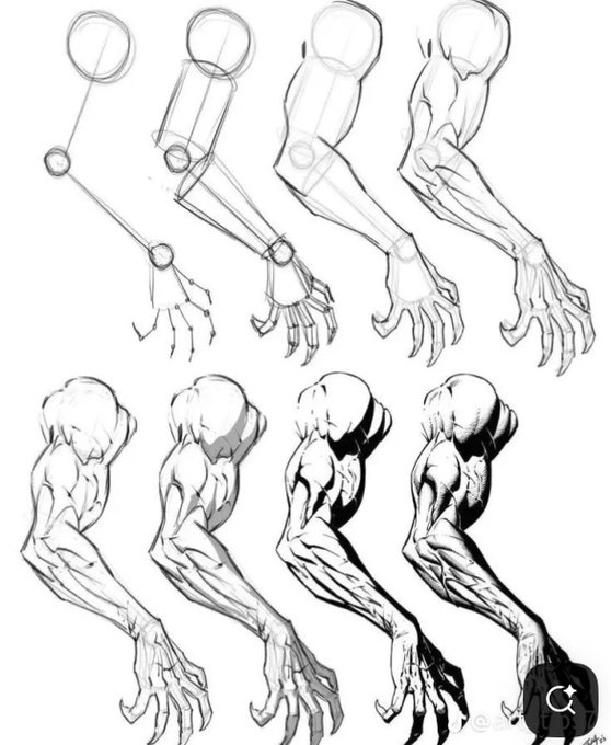 Good anatomy starts here.