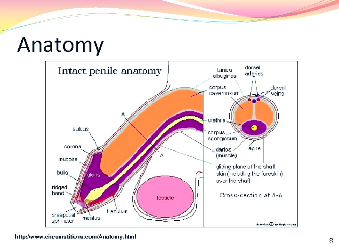 @VERYKOOLLUKEY Everything/ anything within the body is highly ...