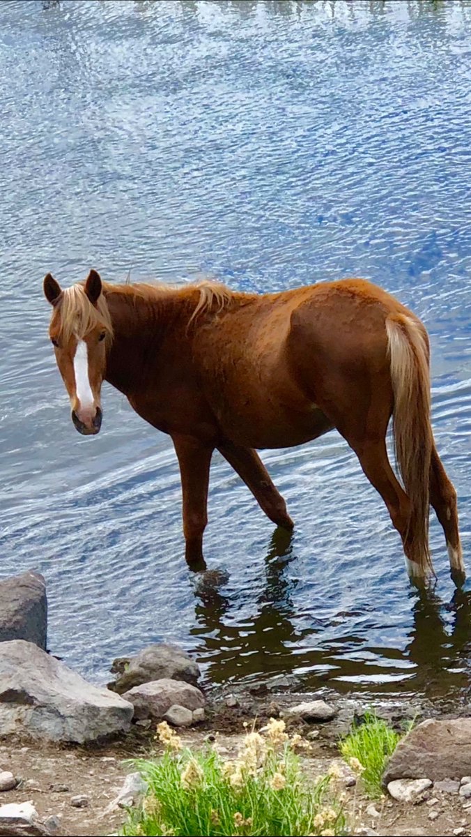 Hawk would like to wish all the Christians out there a very happy ...