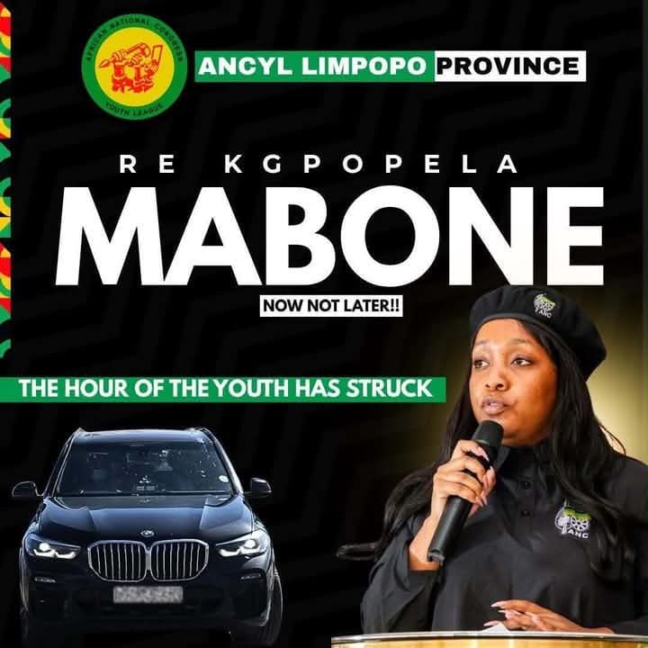 BREAKING NEWS: The ANC Youth League in Limpopo is pushing for its ...