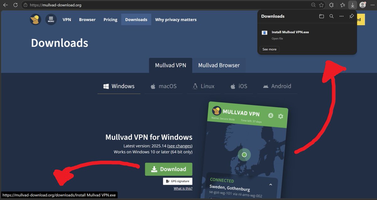 Watch out for fake @mullvadnet VPN results delivering signed Powershell ...