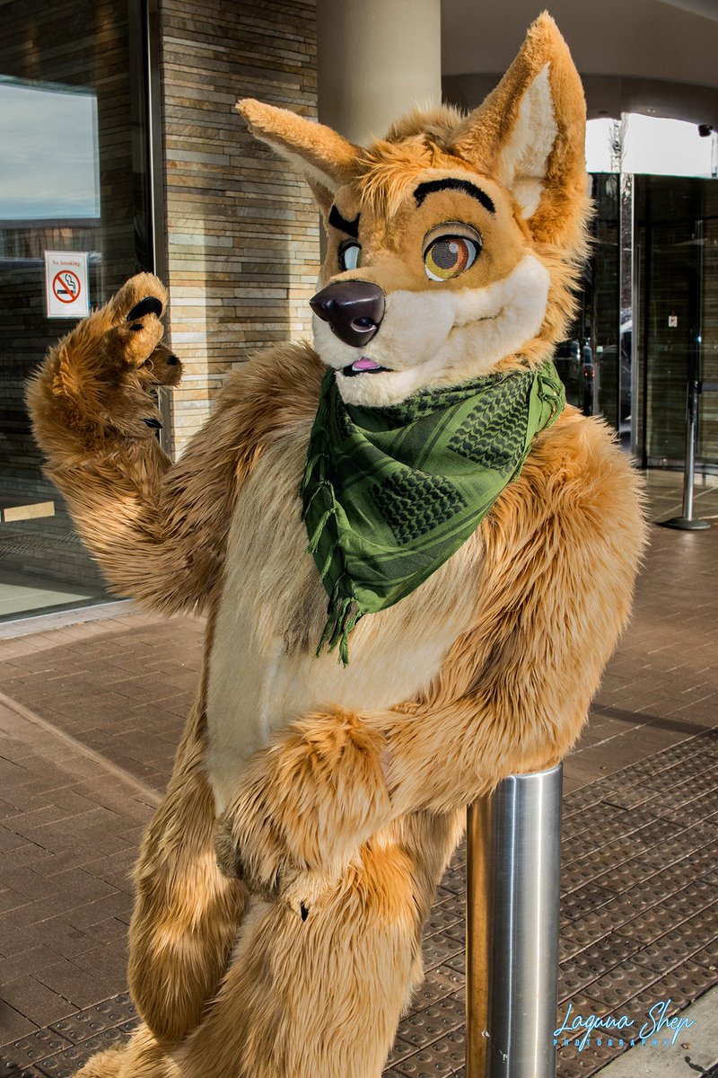 itsYaBoiWhiskey (@Whiskey_Dingo) / Posts / X