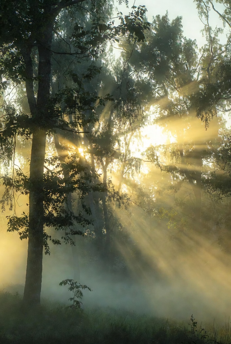 Alleen Mccoy (@alleen57094) / Posts / X