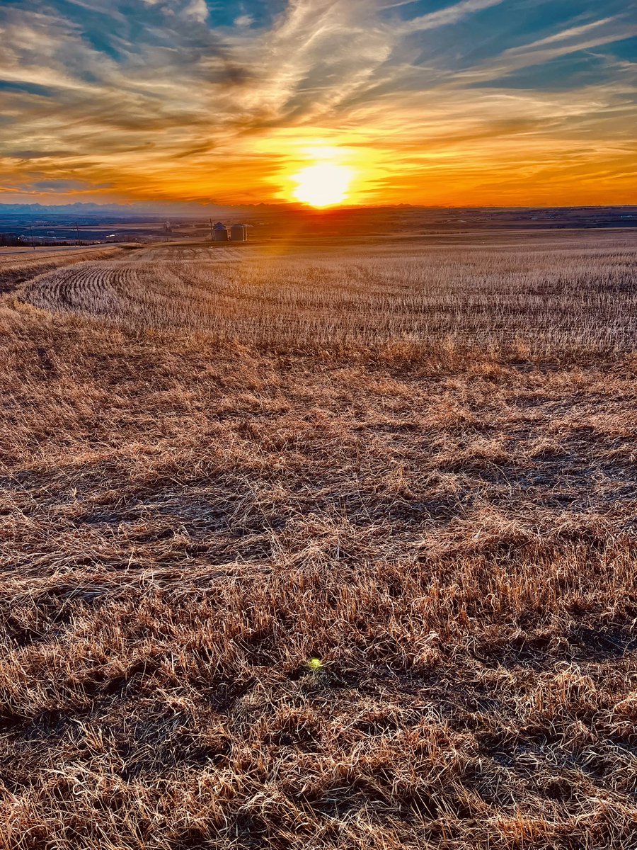 Rob laird (@Roblaird681344) / Posts / X