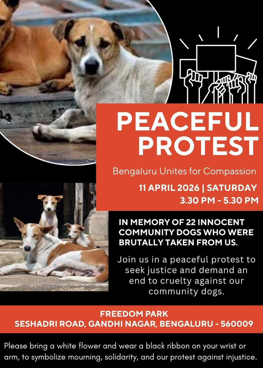 Today at Freedom Park 3.30. Please be there They disposed of dogs at ...