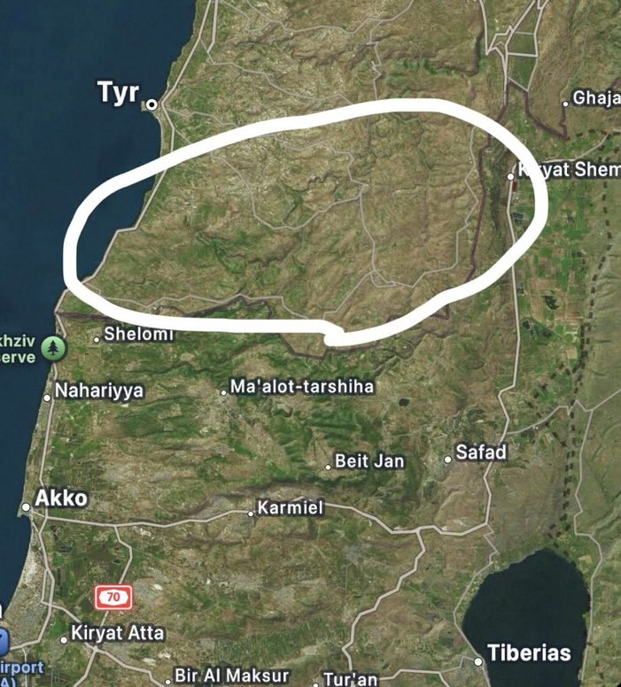 New dystopian reality just dropped: Frantically checking ZioNet hasn’t ...