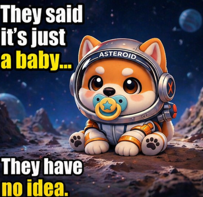Baby Asteroid on BNB (@BabyAstero) / Posts / X