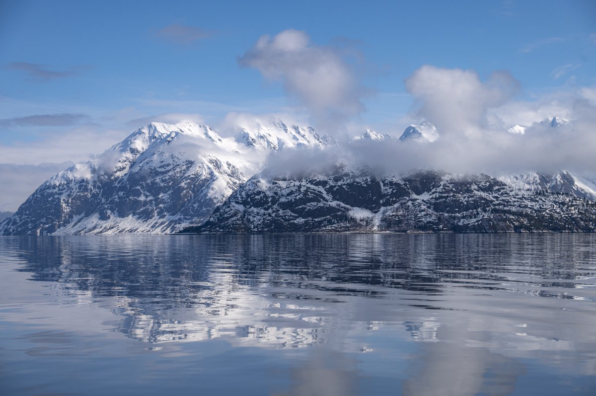 Updates from the Bay: Last week, park rangers were treated to ...