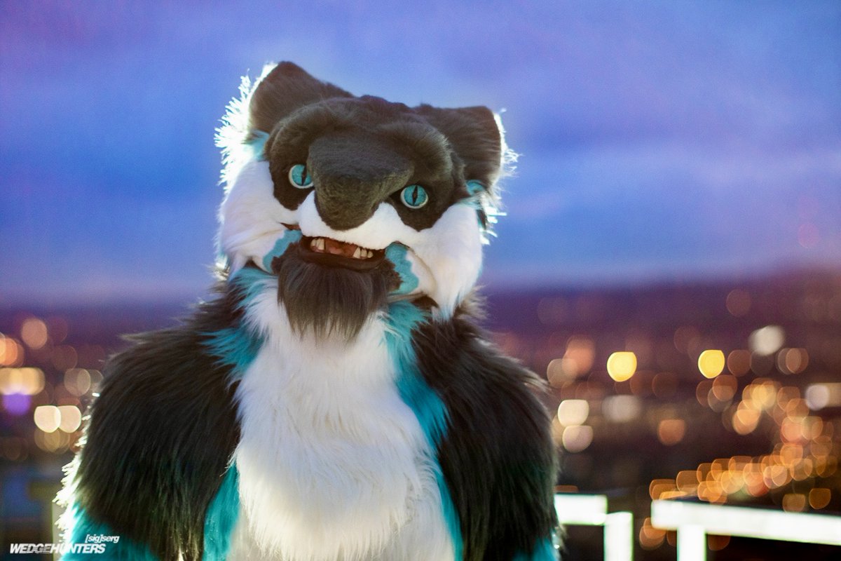 Nebs💙 (@Nebs_Sergal) / Posts / X
