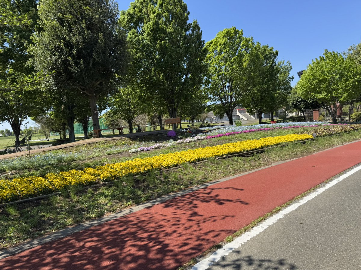 一年の内で一番過ごしやすい季節です。 四季それぞれの風景が楽しめる公園、今はカラフルな花々が眼を楽しませてくれています。 スタッフや ...