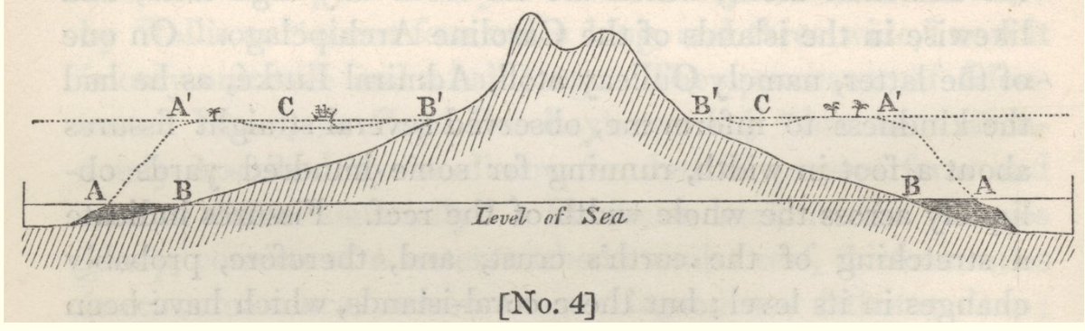 @KeillerDon Charles Darwin knew this 175 years ago and wrote in detail ...