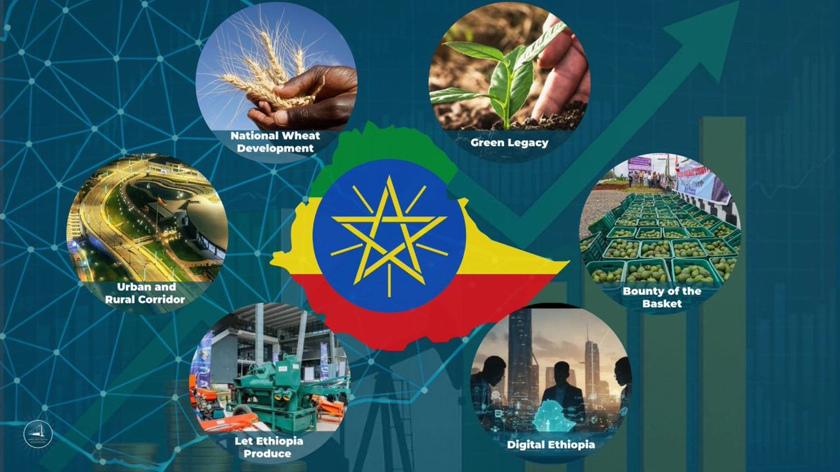 Meseret Tekalign (@MeseretTekalign) / Posts / X