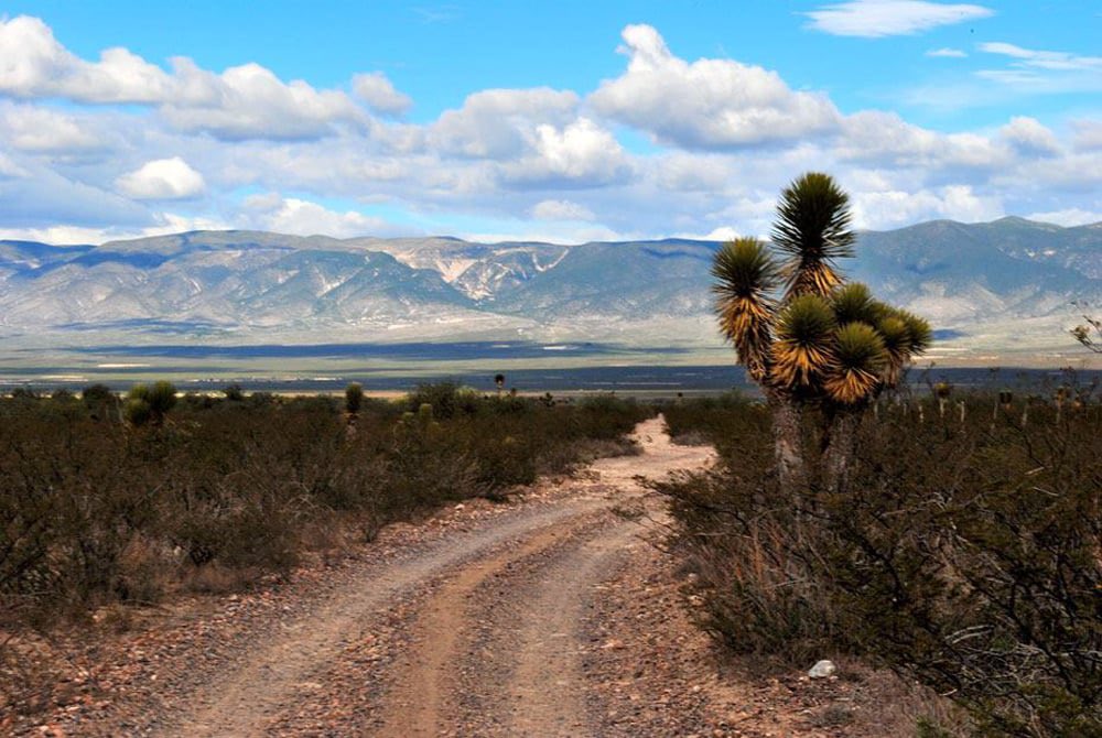 Las dos San Luis Potosí la Desértica y la verde https://t.co/BdqUNMIawE ...
