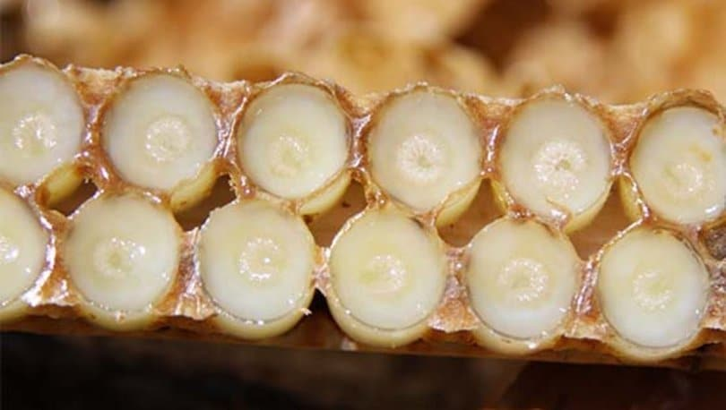 stop putting the wrong thing in your vagina. tampons contain lead ...