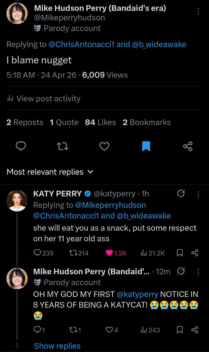 Mike Hudson Perry (Watch It Burn Era 🔥) (@Mikeperryhudson) / Posts / X