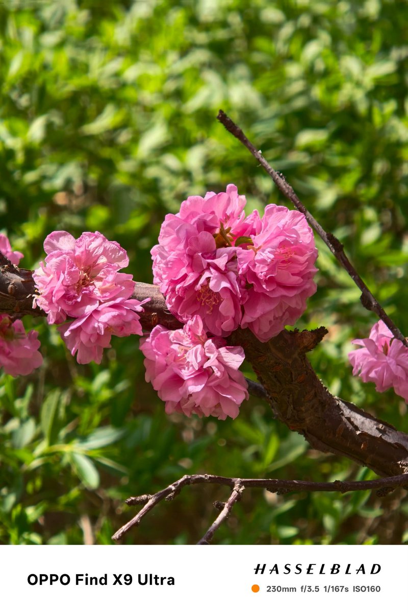 Ice Universe (@UniverseIce) / Posts / X