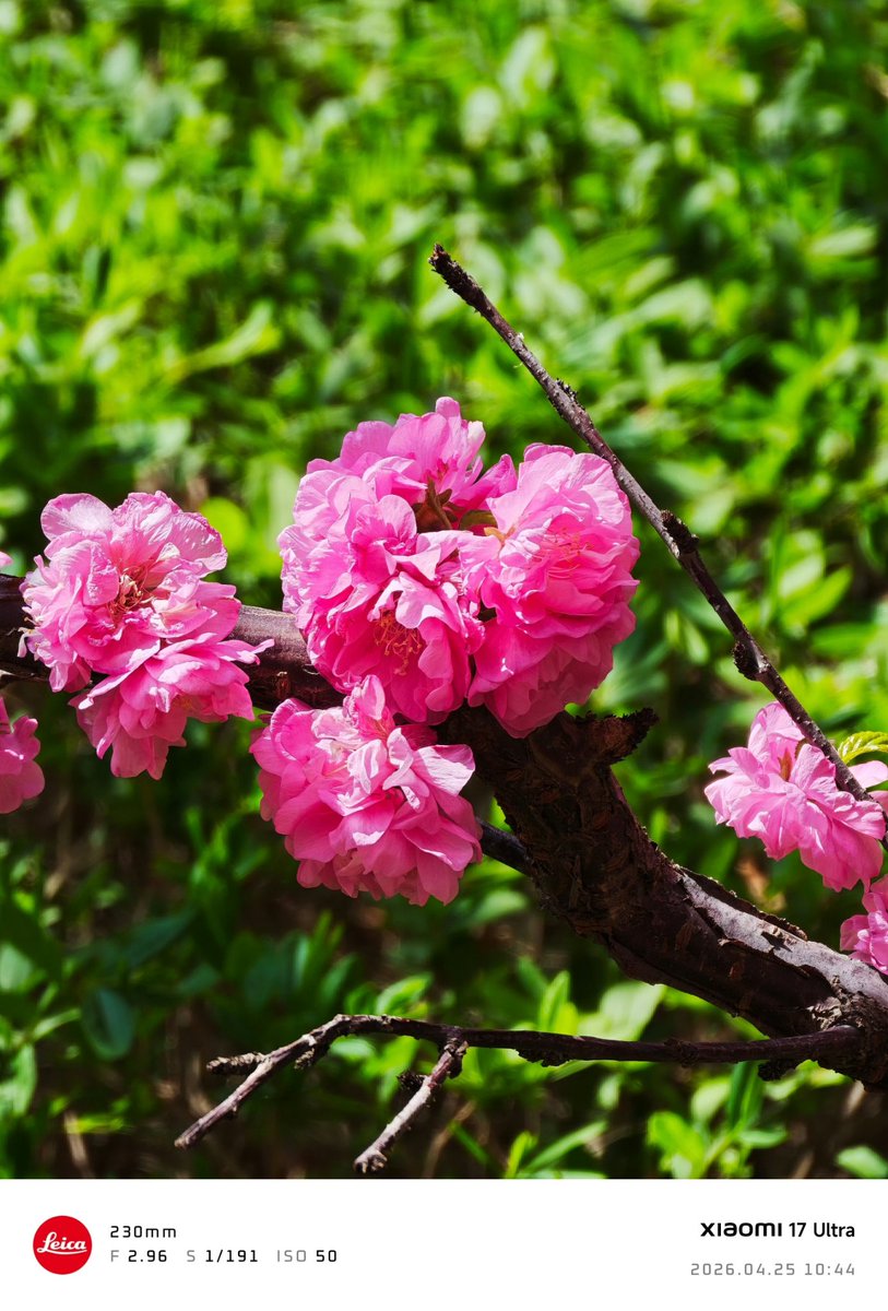 Ice Universe (@UniverseIce) / Posts / X