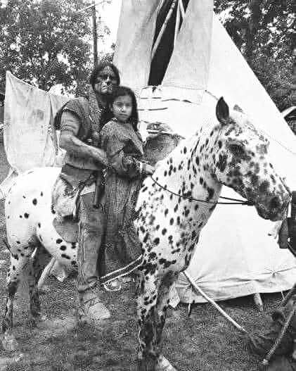 The Apache: A Resilient Culture of the Southwestern United StatesThe ...