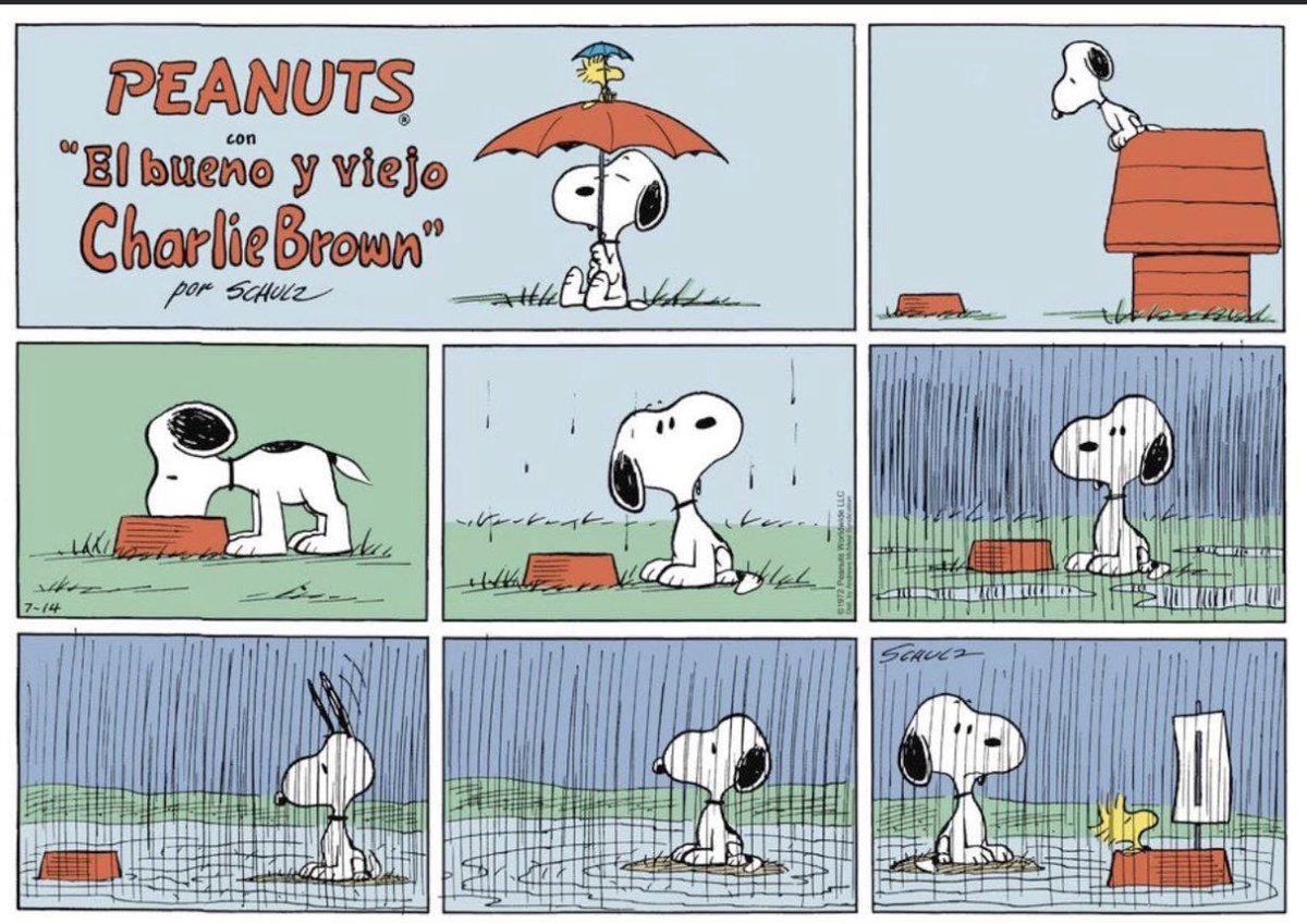 Charlie Brown Fan Account (@Peanuts_4Fans) / Posts / X