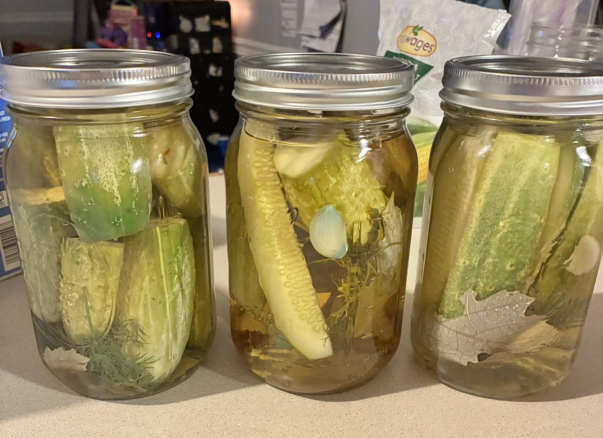 Canned 3 jars of dill pickles from my garden cucs with one of the ...
