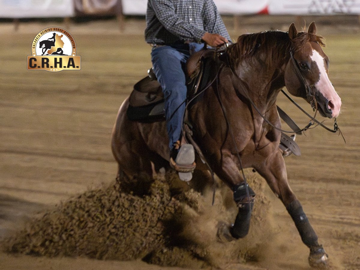 CRHA Calabria Reining (@calabriareining) / Posts / X