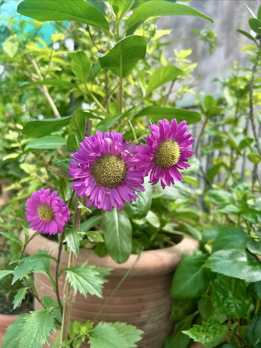 @mona1961talks https://t.co/t5WewxinFd